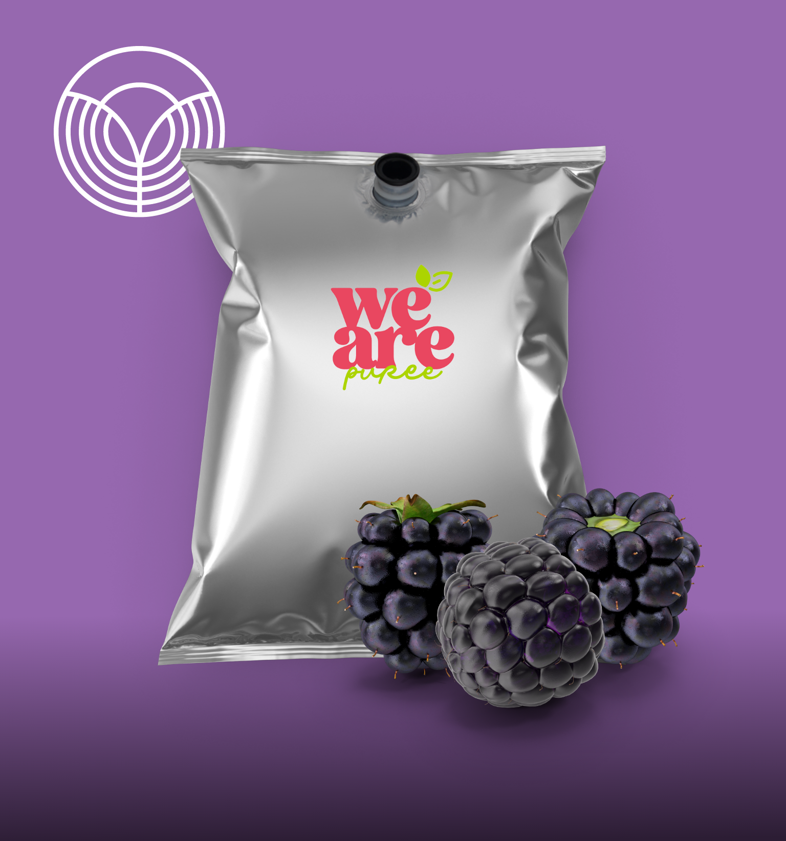 44 lb Blackberry Puree Bag – We Are Puree