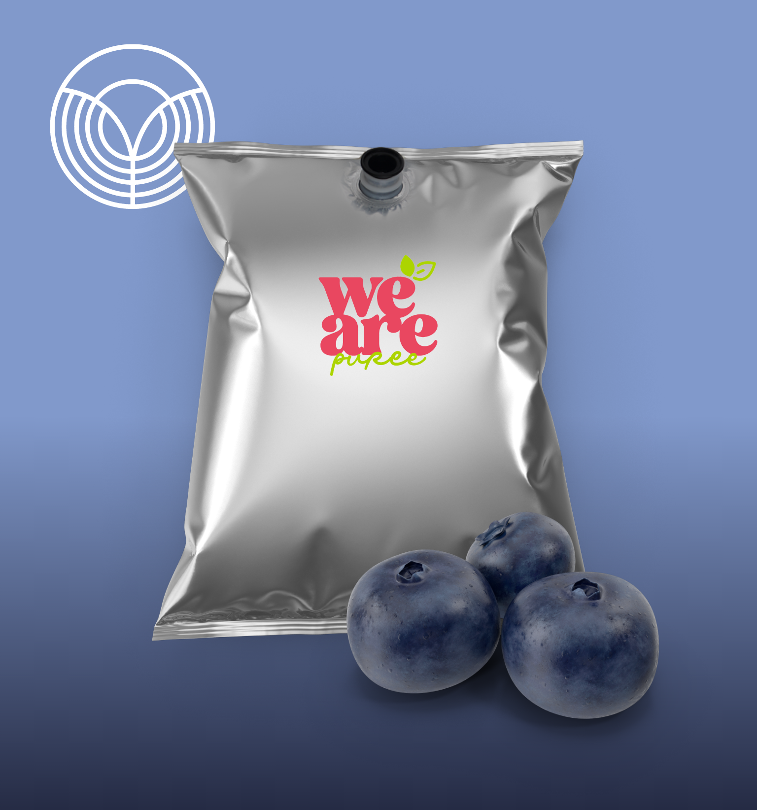 44 lb Blueberry Puree Bag – We Are Puree